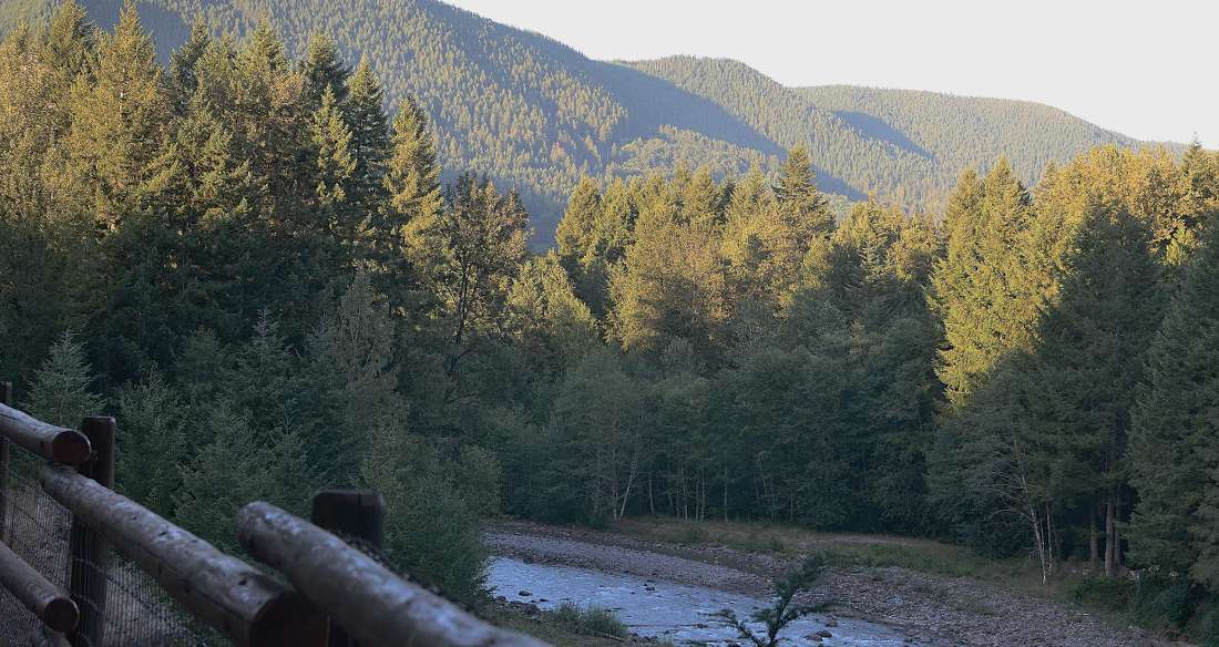 Jonathan Walz | Web Developer